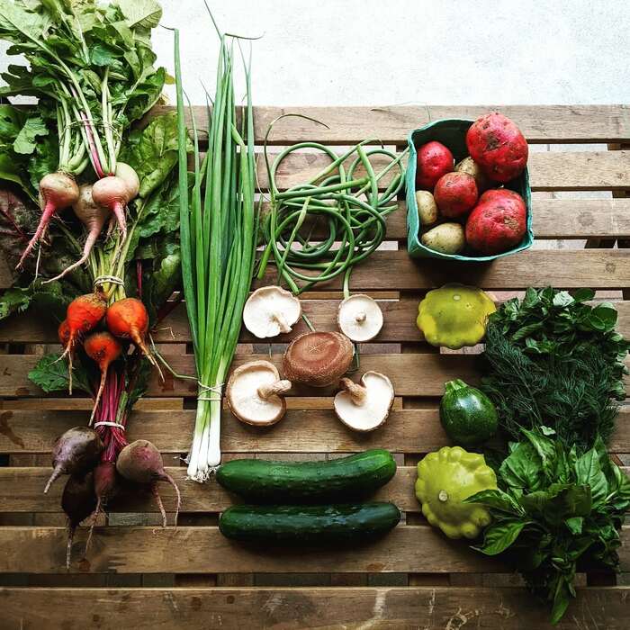 CSA Farm Subscription
